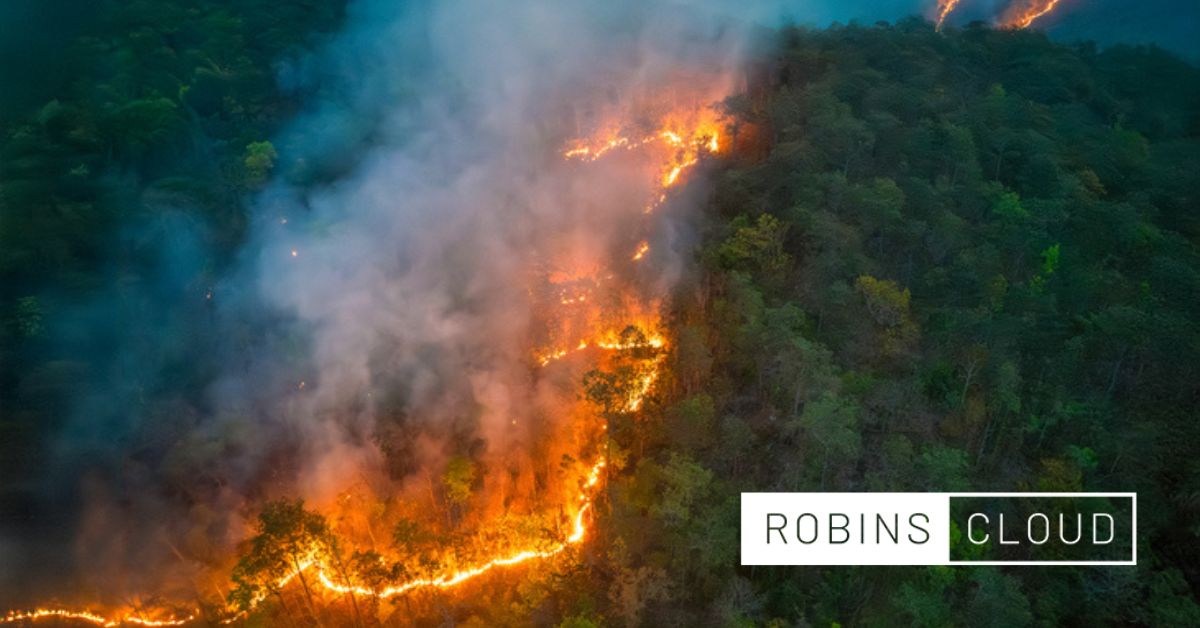 Rebuilding Your Life After a Wildfire: What Compensation Covers—and ...